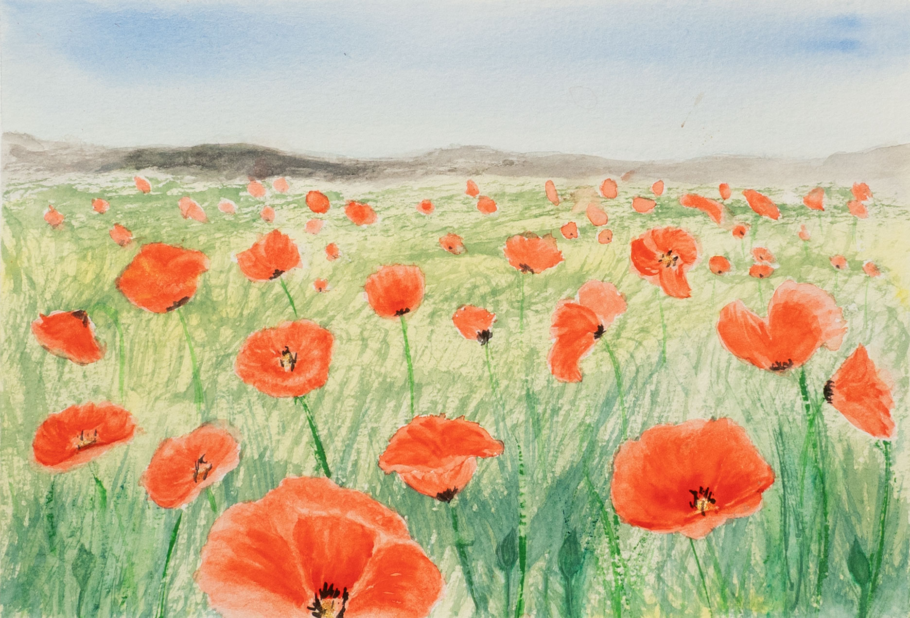 Poppy Field